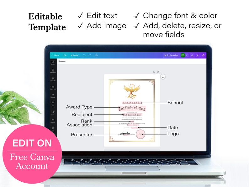 Editable Certificate of Rank Recognition for Martial Arts | Gold ...