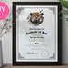 Editable Certificate of Rank Recognition | Tiger Martial Arts Award ...