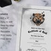 Editable Certificate of Rank Recognition | Tiger Martial Arts Award ...