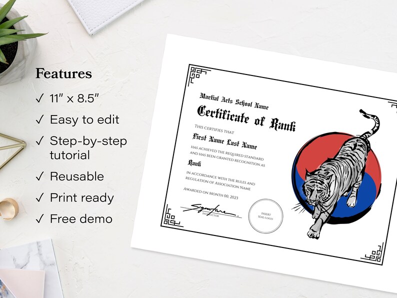 Editable Certificate of Rank Recognition | Tiger Martial Arts Award ...