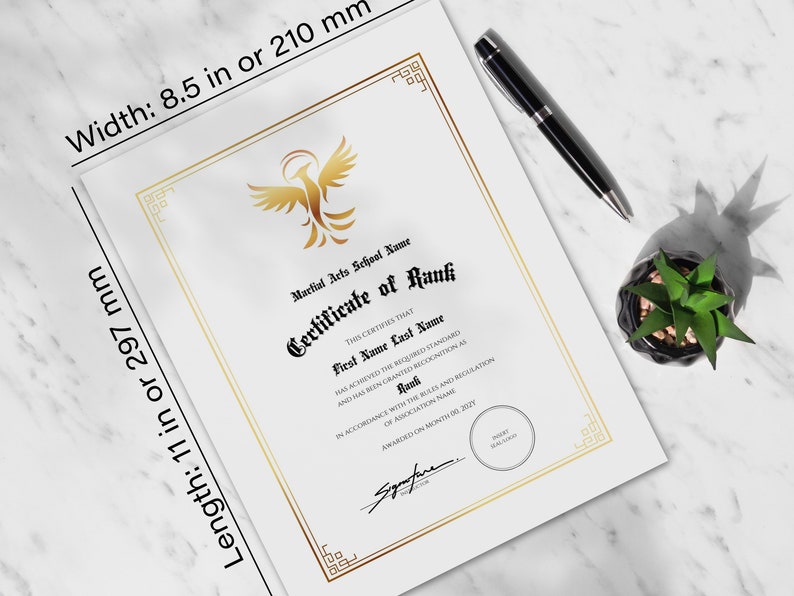Editable Certificate of Rank Recognition for Martial Arts | Gold ...