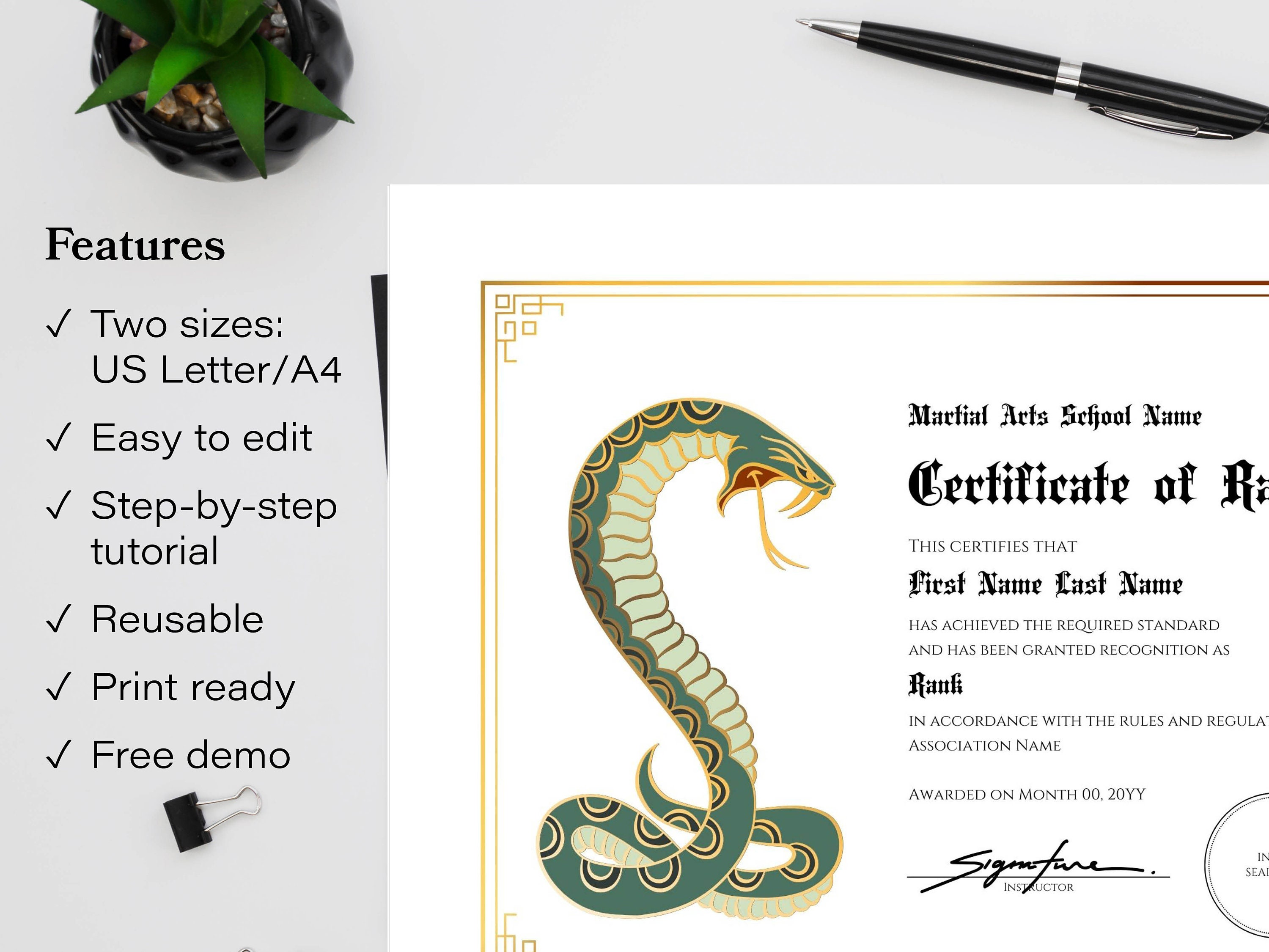 Editable Certificate of Rank Recognition | Snake Style Martial Arts ...