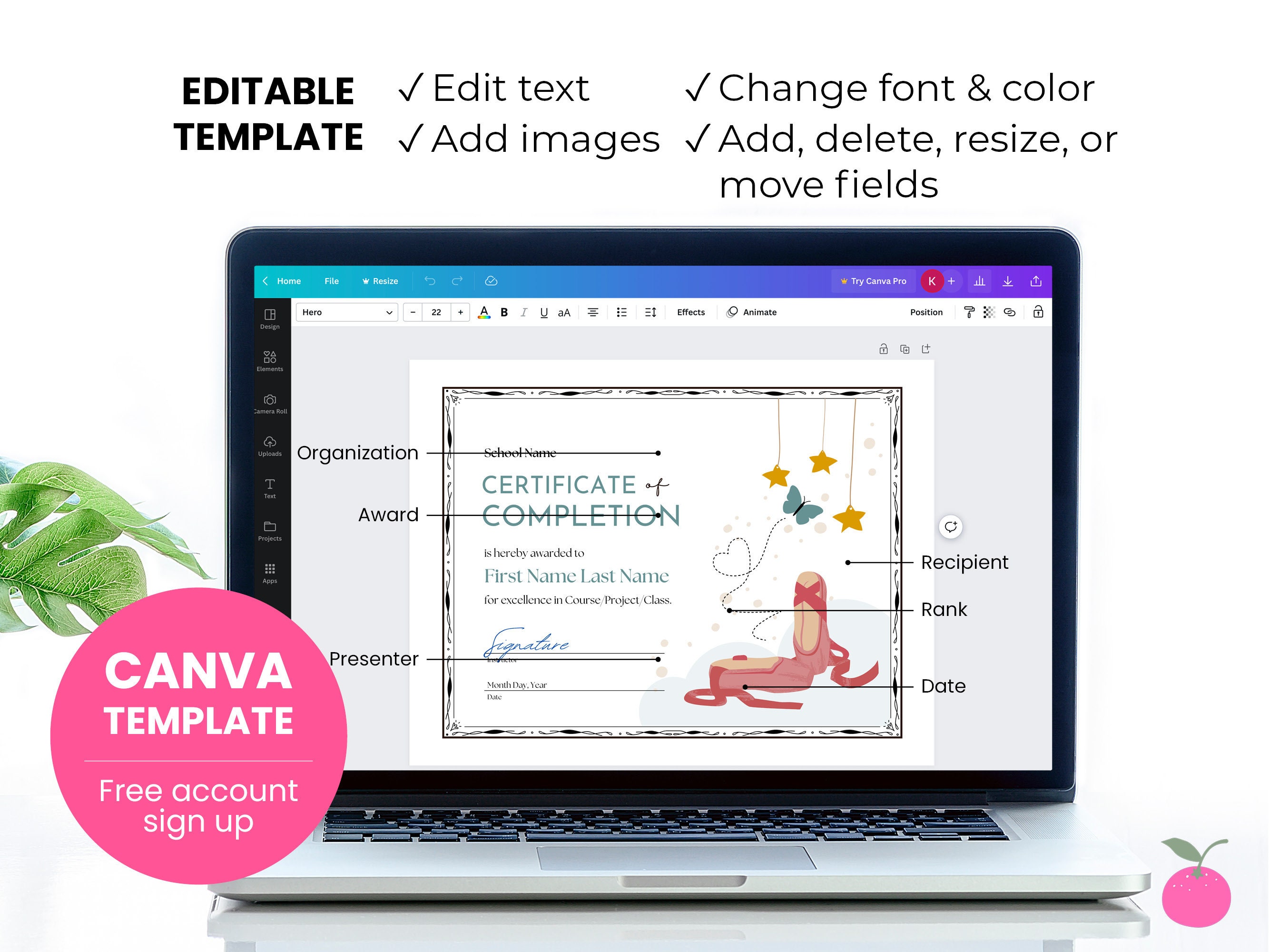 Editable Ballet Dance Certificate of Completion for School, Recital ...