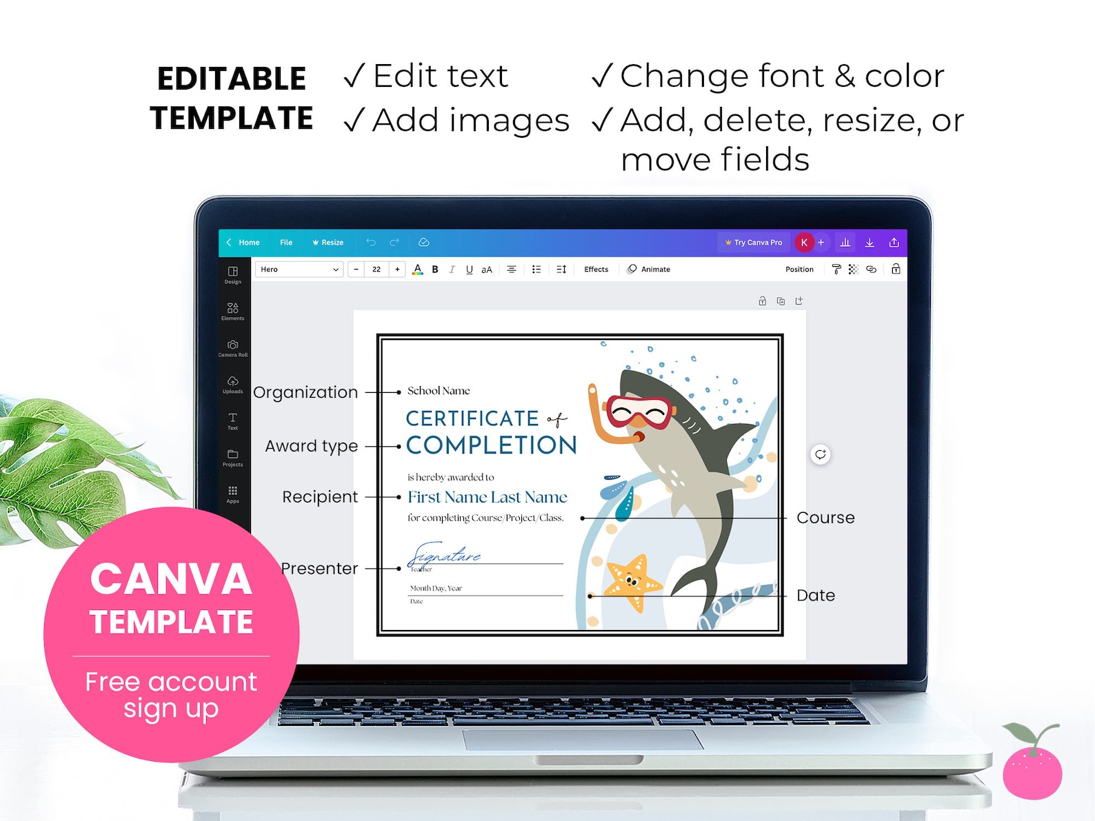 Editable Swimming Certificate of Completion for Summer Camp or Water ...