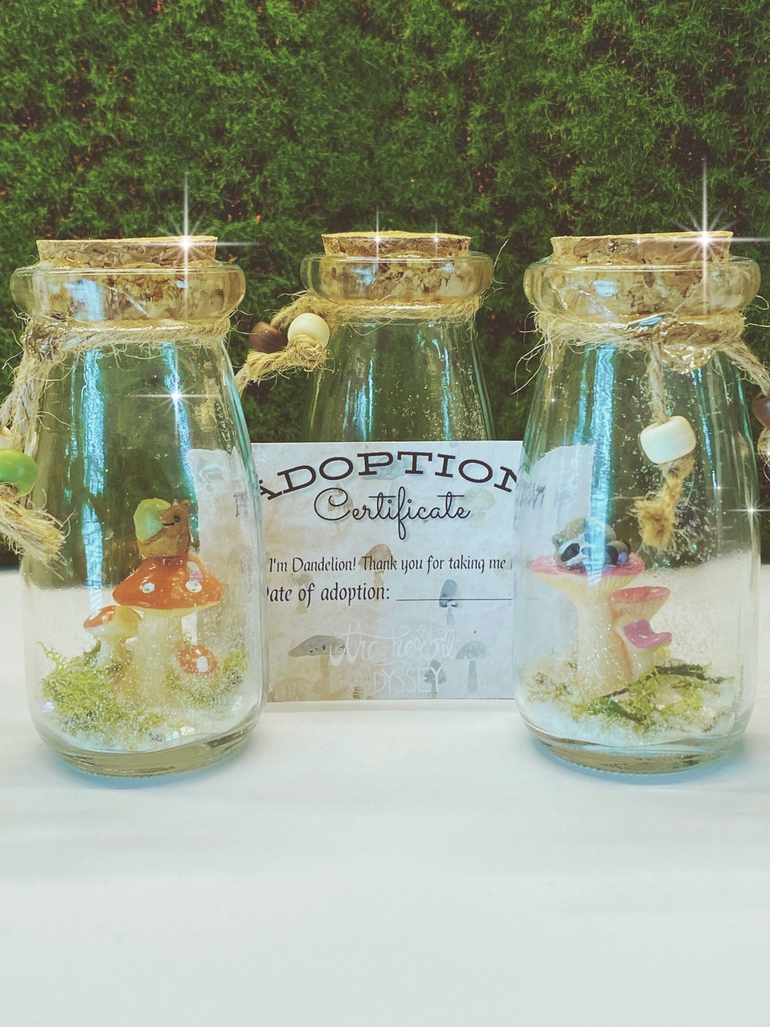 LIMITED EDITION Miniature Adoptable Desk Pets Cottagecore Bookshelf ...