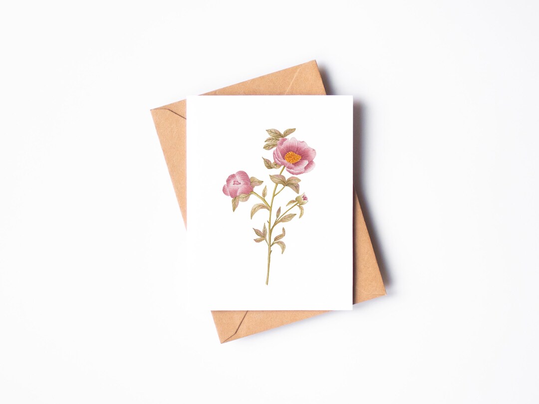 Watercolor Peony Note Card | Blank Inside | Includes Kraft Envelopes ...
