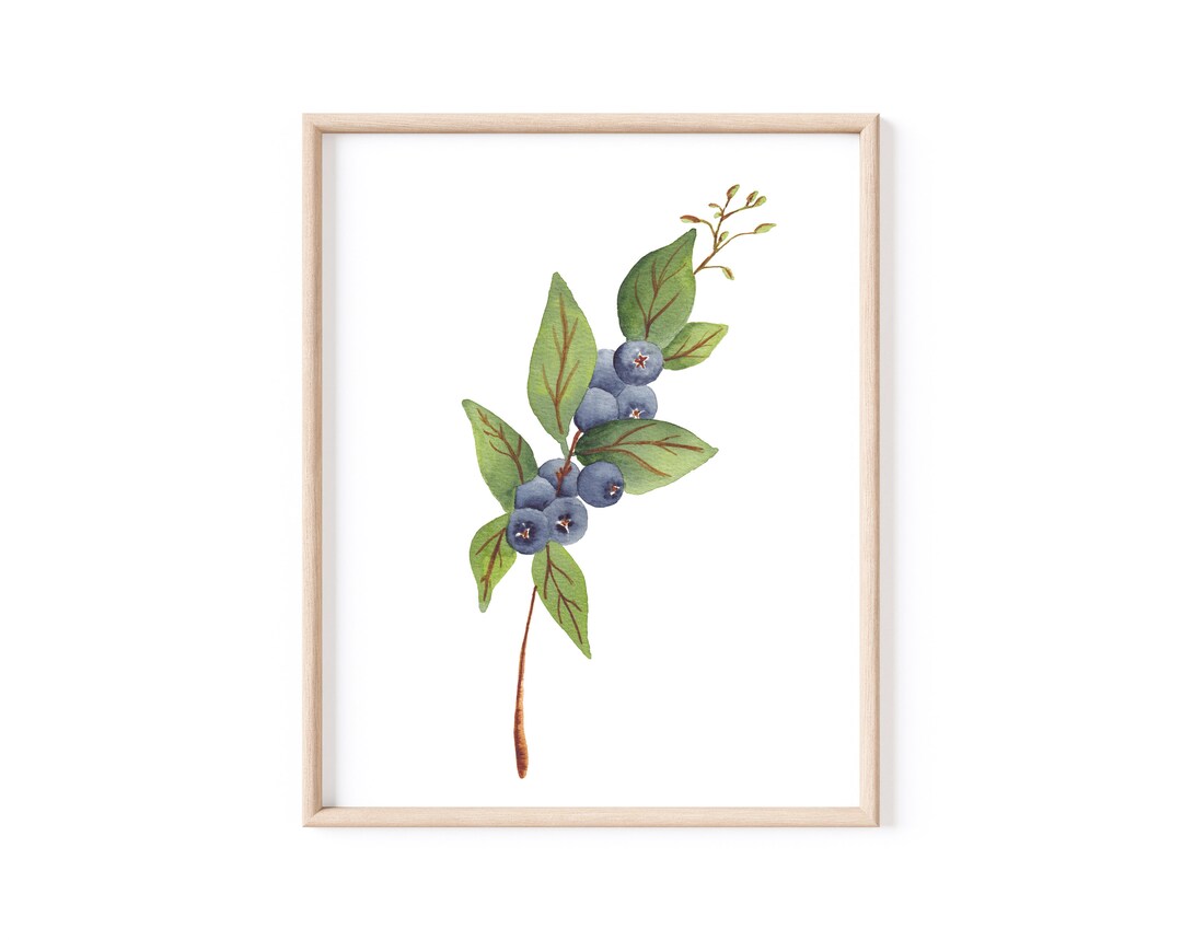 Watercolor Blueberries Art Print Blueberries Print Minimalist ...