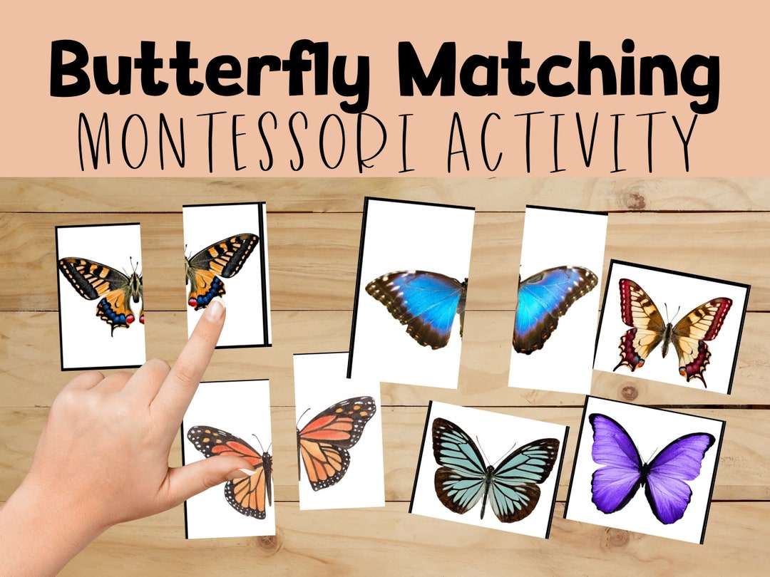Butterfly Matching Card Activity Montessori Activity Butterfly Unit ...