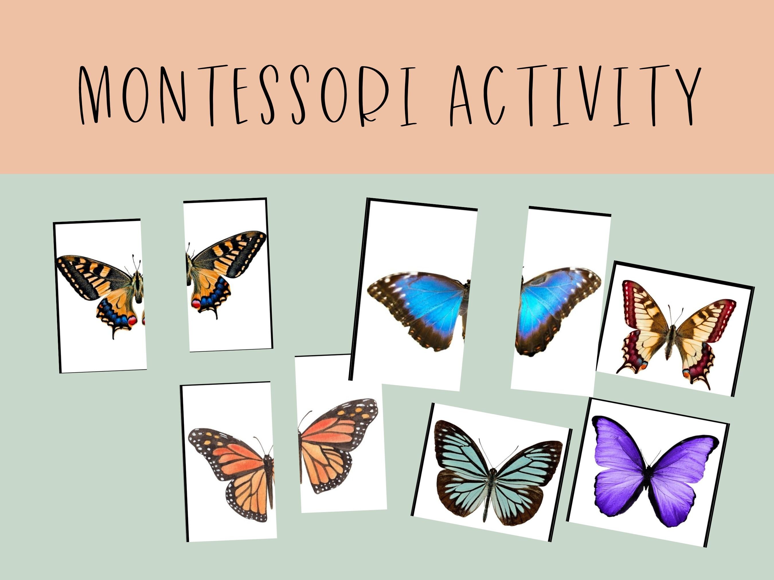 Butterfly Matching Card Activity Montessori Activity Butterfly Unit ...