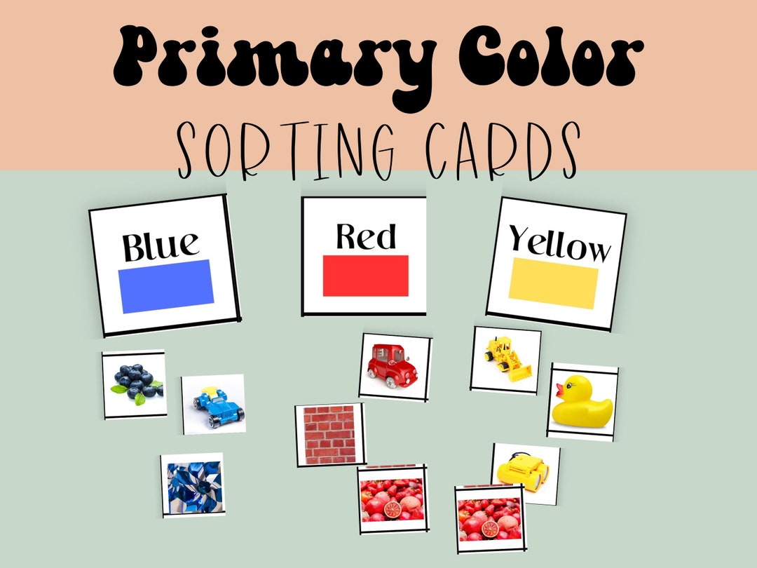 Color Matching Toddler Activity Montessori Printable Montessori Cards ...