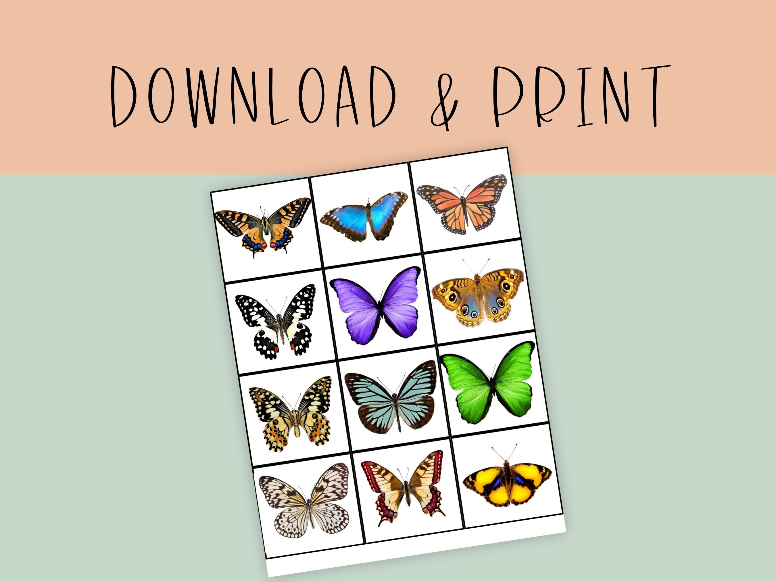 Butterfly Matching Card Activity Montessori Activity Butterfly Unit ...