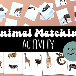 Toddler Matching Activity Montessori Printable Toddler Education ...