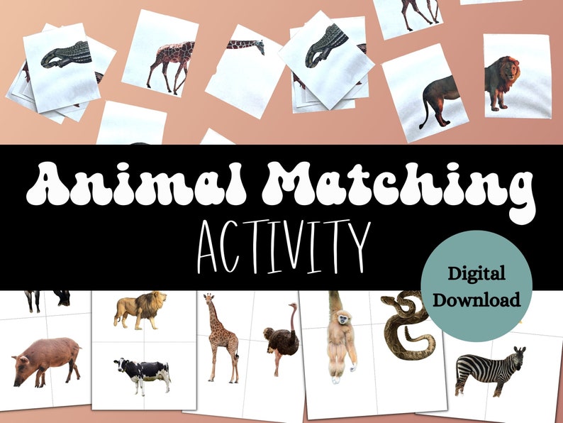 Toddler Matching Activity Montessori Printable Toddler Education ...