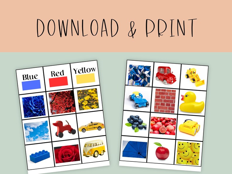 Color Matching Toddler Activity Montessori Printable Montessori Cards ...