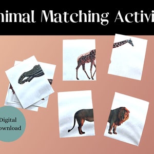 Toddler Matching Activity Montessori Printable Toddler Education ...