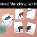 Toddler Matching Activity Montessori Printable Toddler Education ...