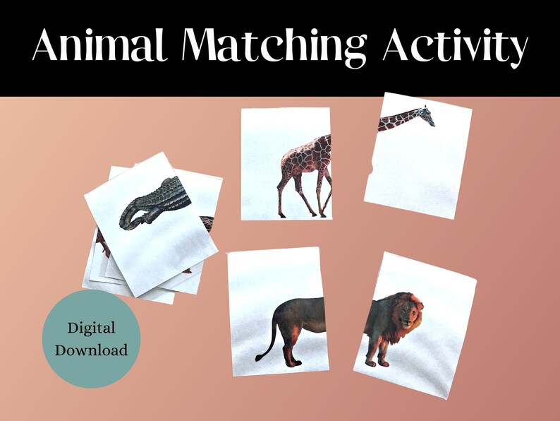 Toddler Matching Activity Montessori Printable Toddler Education ...