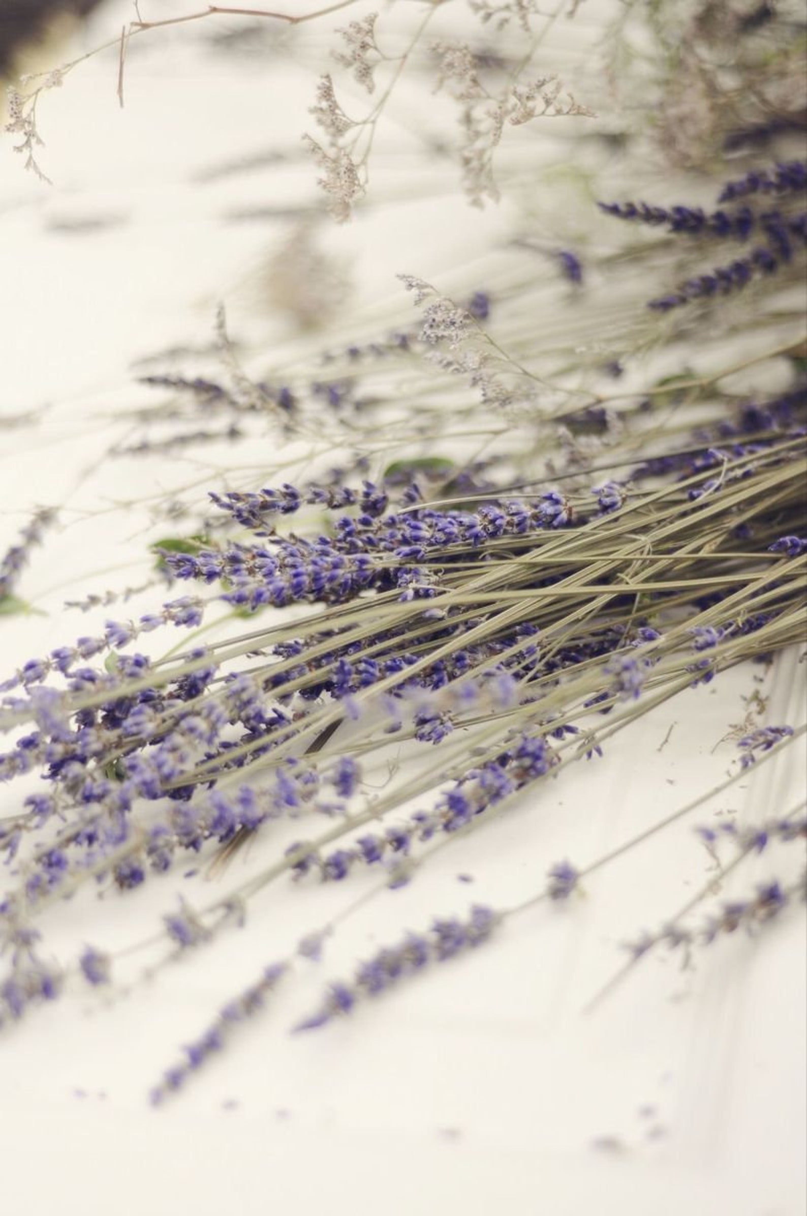 0.6oz Organic Dried Lavender Flowers Whole | Herbs for Witchcraft ...