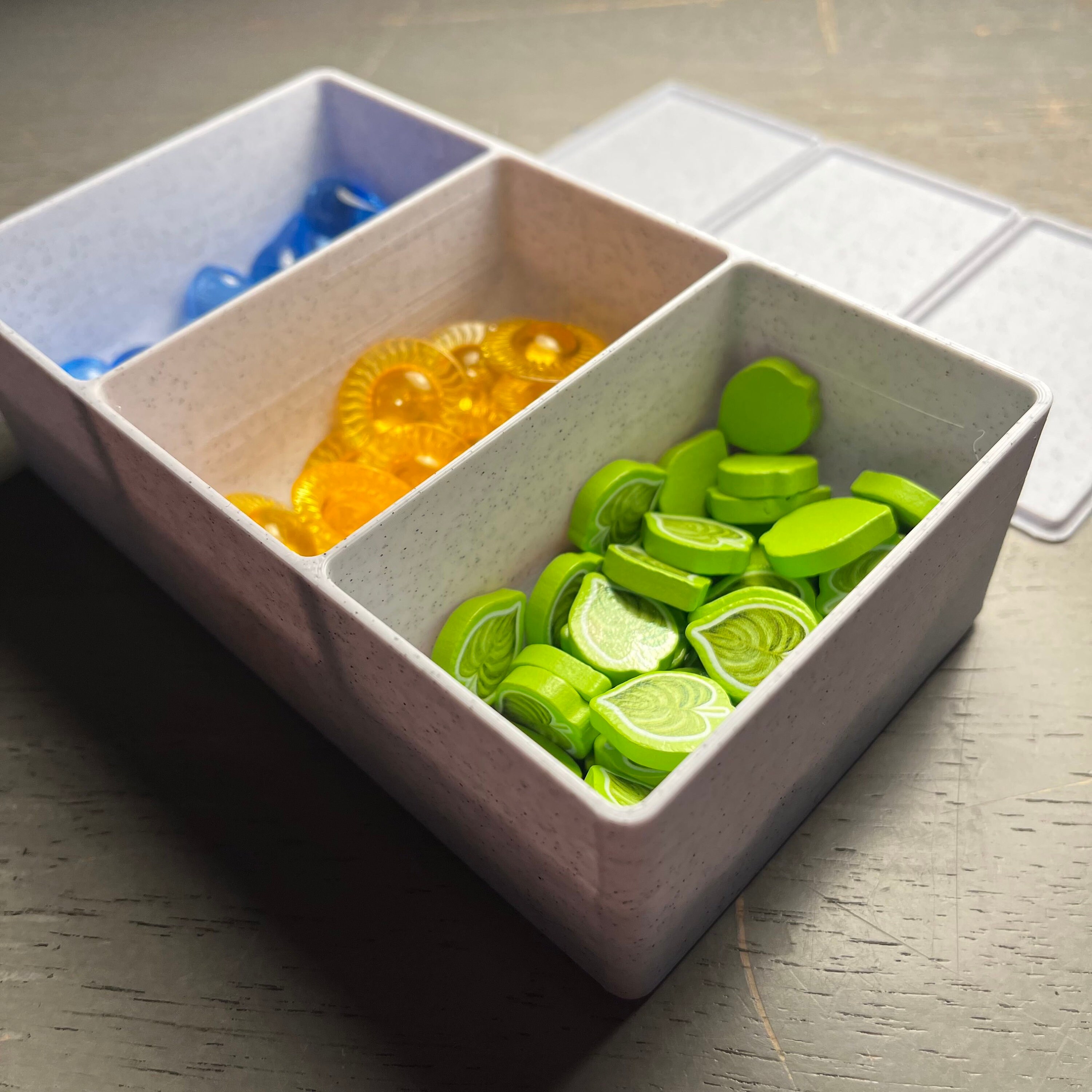 Planted Board Game Organizer Kit - Etsy