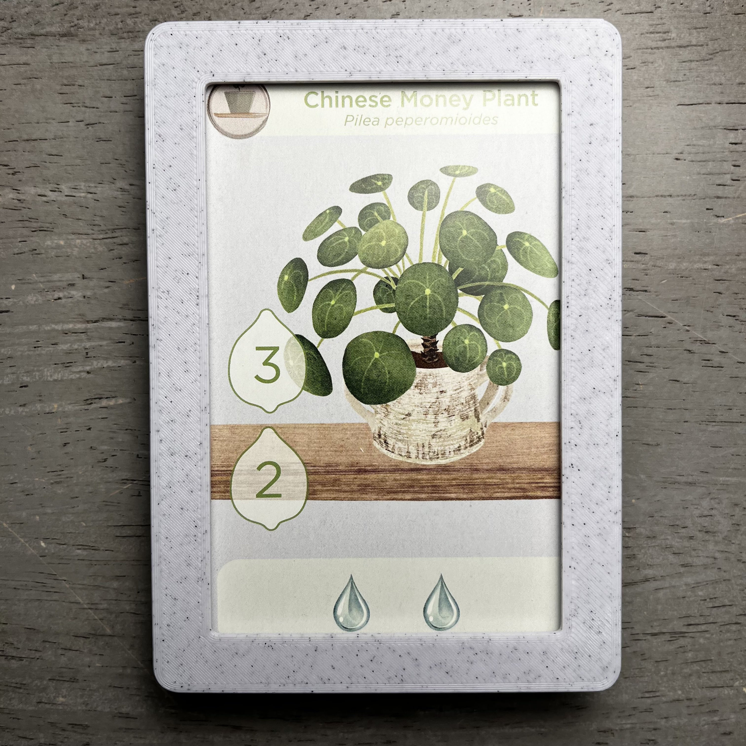 Planted Board Game Organizer Kit - Etsy