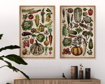 Bean Pods and Beans SVG Set Vegetable Beans Pods EPS - Etsy