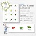 Printable Garden Plant Labels: Vegetable & Herb Seed Organizer (PDF) - Etsy
