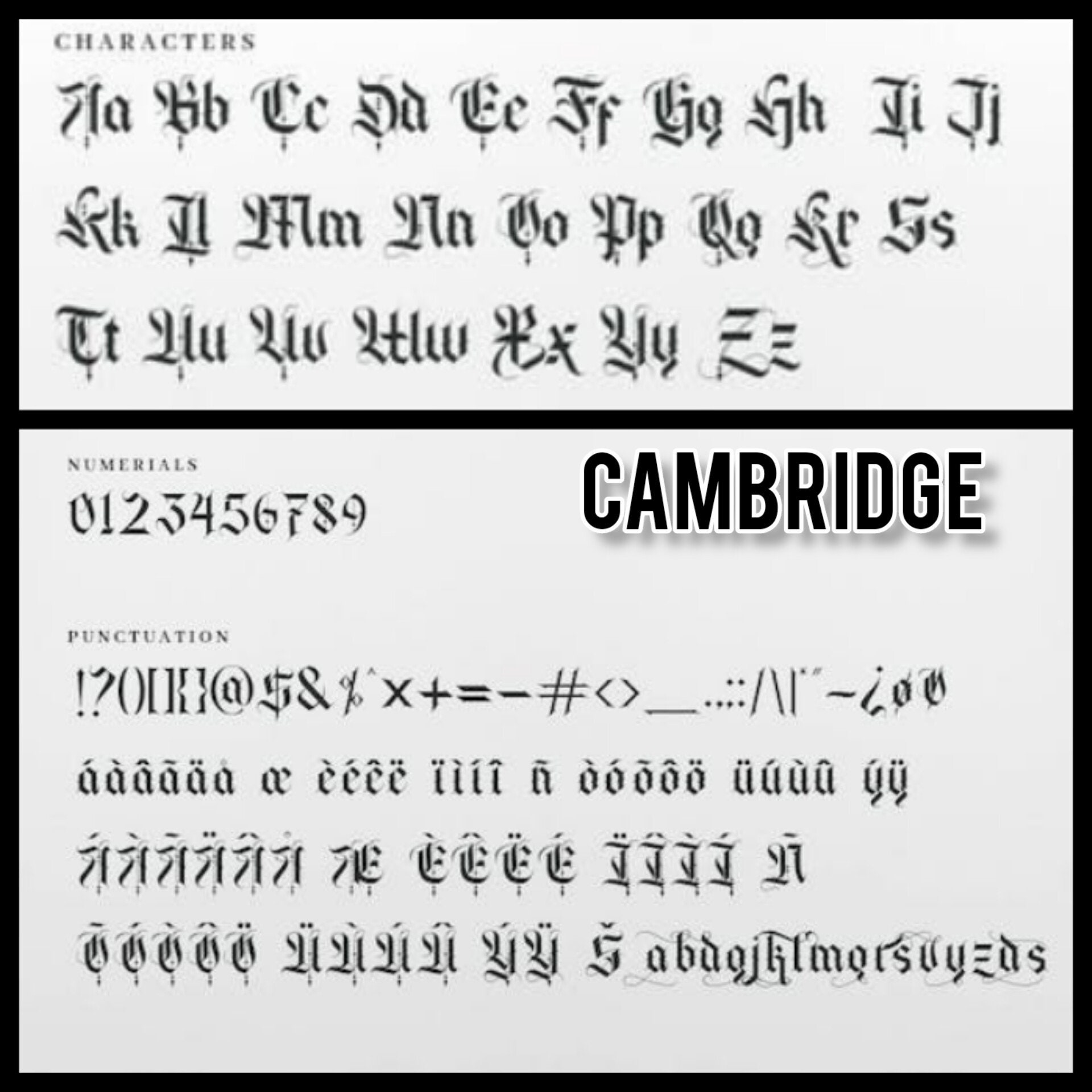 Aceking Font, Southside Font, Black Side Font, Cambridge Font, Snubhore ...