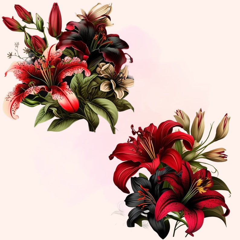 Red and Black Floral Boutiques Clipart Bundle PNG 18 Total - Etsy
