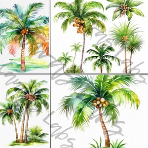 Watercolor Tropical Palm Tree Clip Art Island Palm Tree Clip Art Summer ...