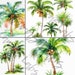 Watercolor Tropical Palm Tree Clip Art Island Palm Tree Clip Art Summer ...