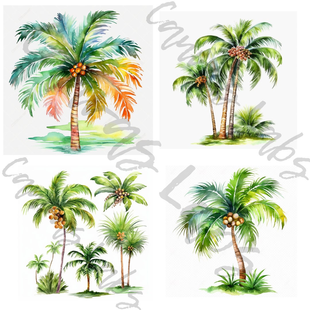 Watercolor Tropical Palm Tree Clip Art Island Palm Tree Clip Art Summer ...