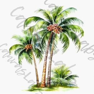 Watercolor Tropical Palm Tree Clip Art Island Palm Tree Clip Art Summer ...