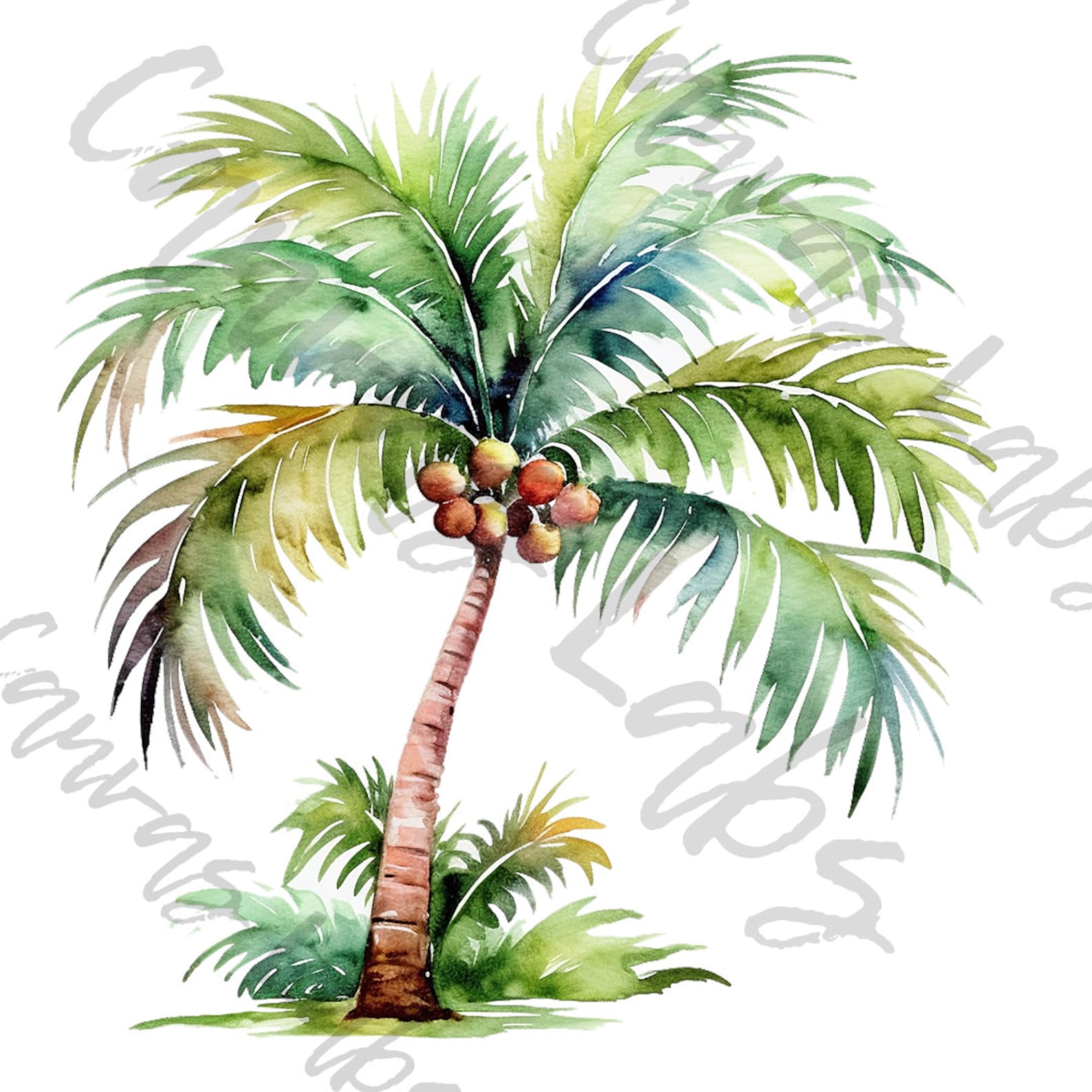 Watercolor Tropical Palm Tree Clip Art Island Palm Tree Clip Art Summer ...