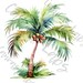 Watercolor Tropical Palm Tree Clip Art Island Palm Tree Clip Art Summer ...