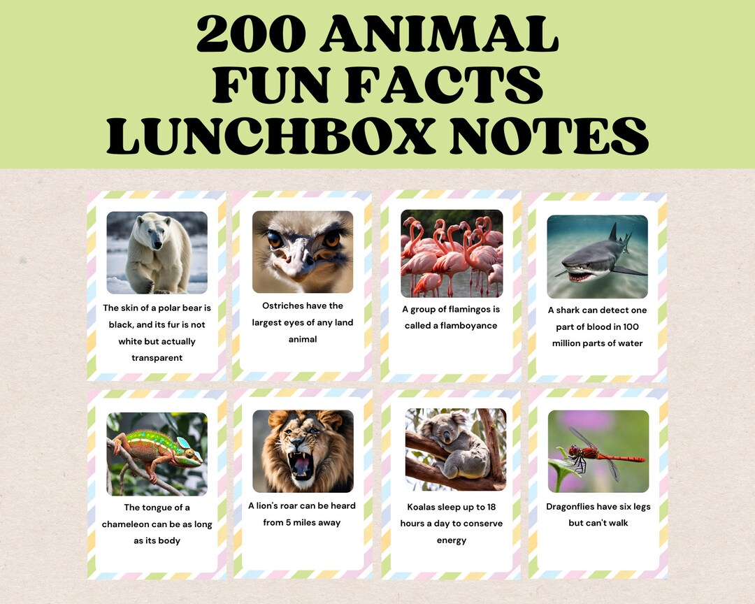 Animals Fun Facts Lunchbox Notes for Kids Fascinating Educational Gift ...
