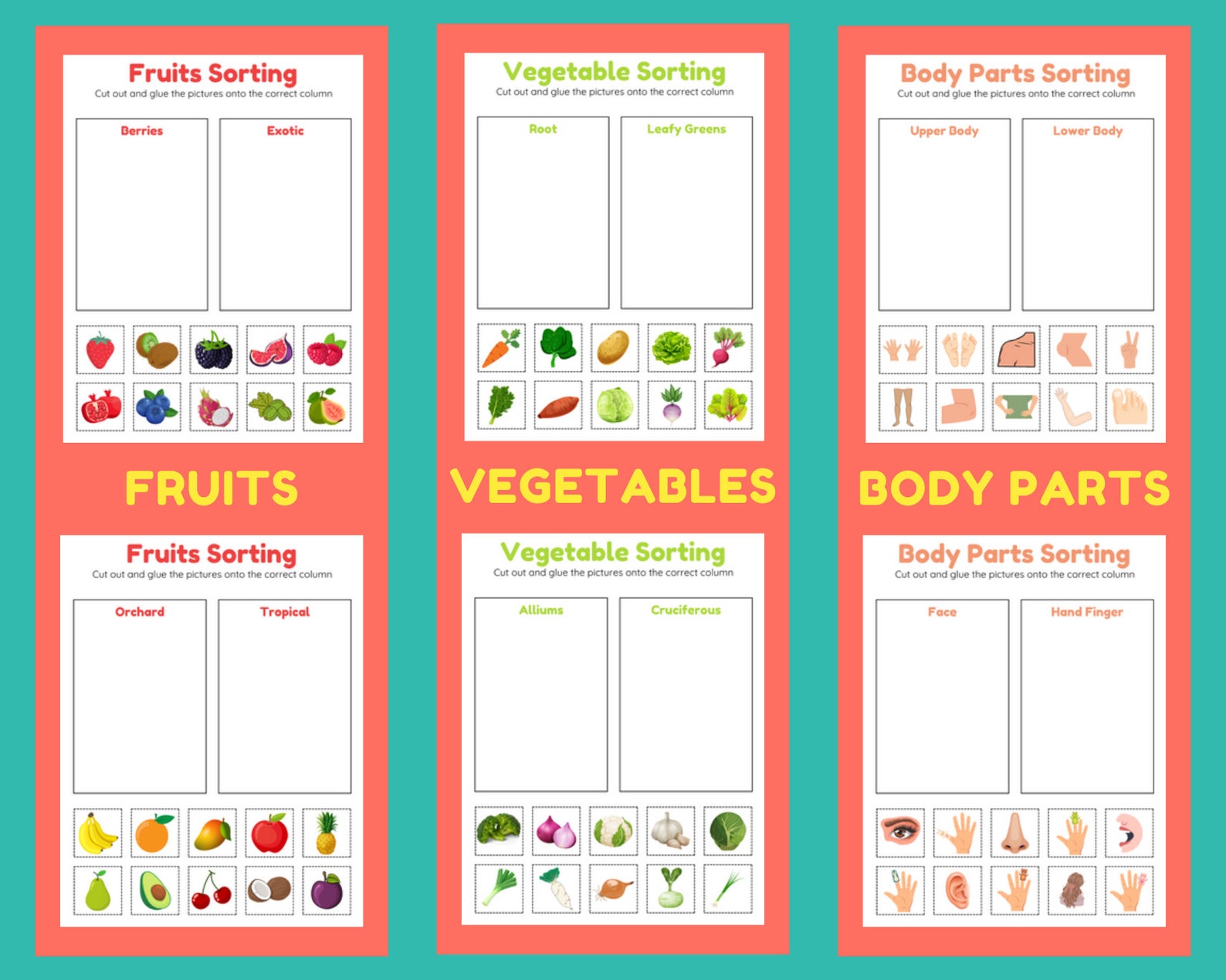 30 Educational Sorting Worksheets for Kids - Fun Learning Games for ...