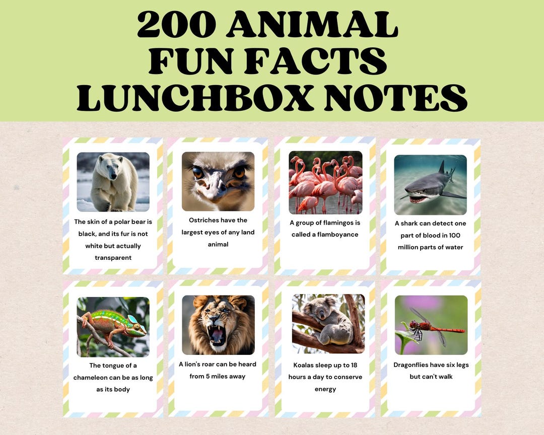 Animals Fun Facts Lunchbox Notes for Kids | Fascinating Educational ...