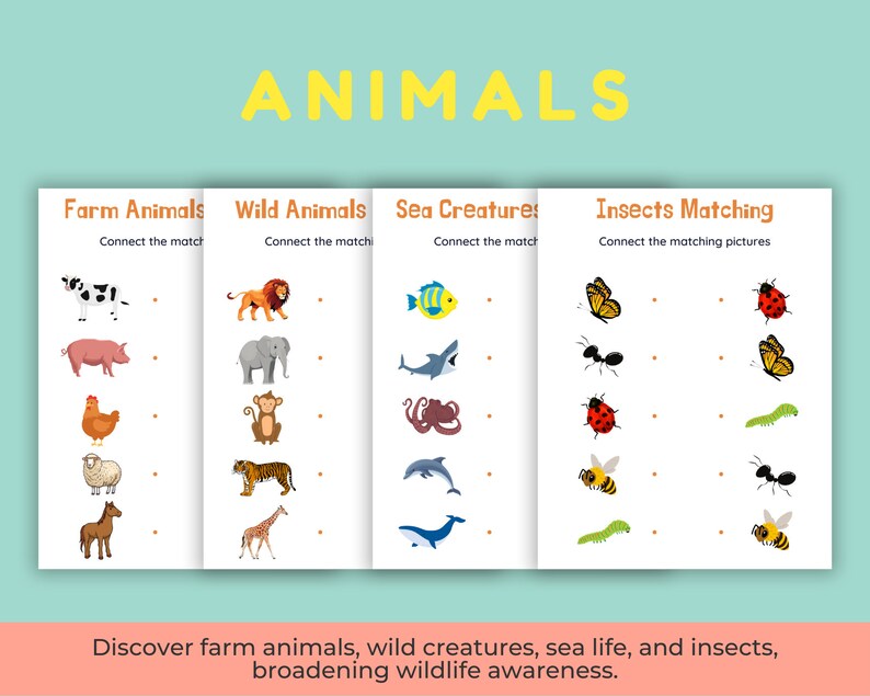 44 Educational Matching Worksheets for Kids Fun Learning Games for ...