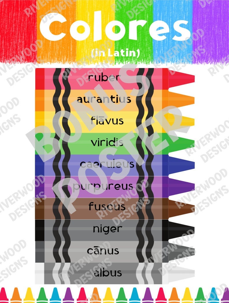Latin Flashcards: A Fun and Easy Way to Learn the Colors in Latin ...