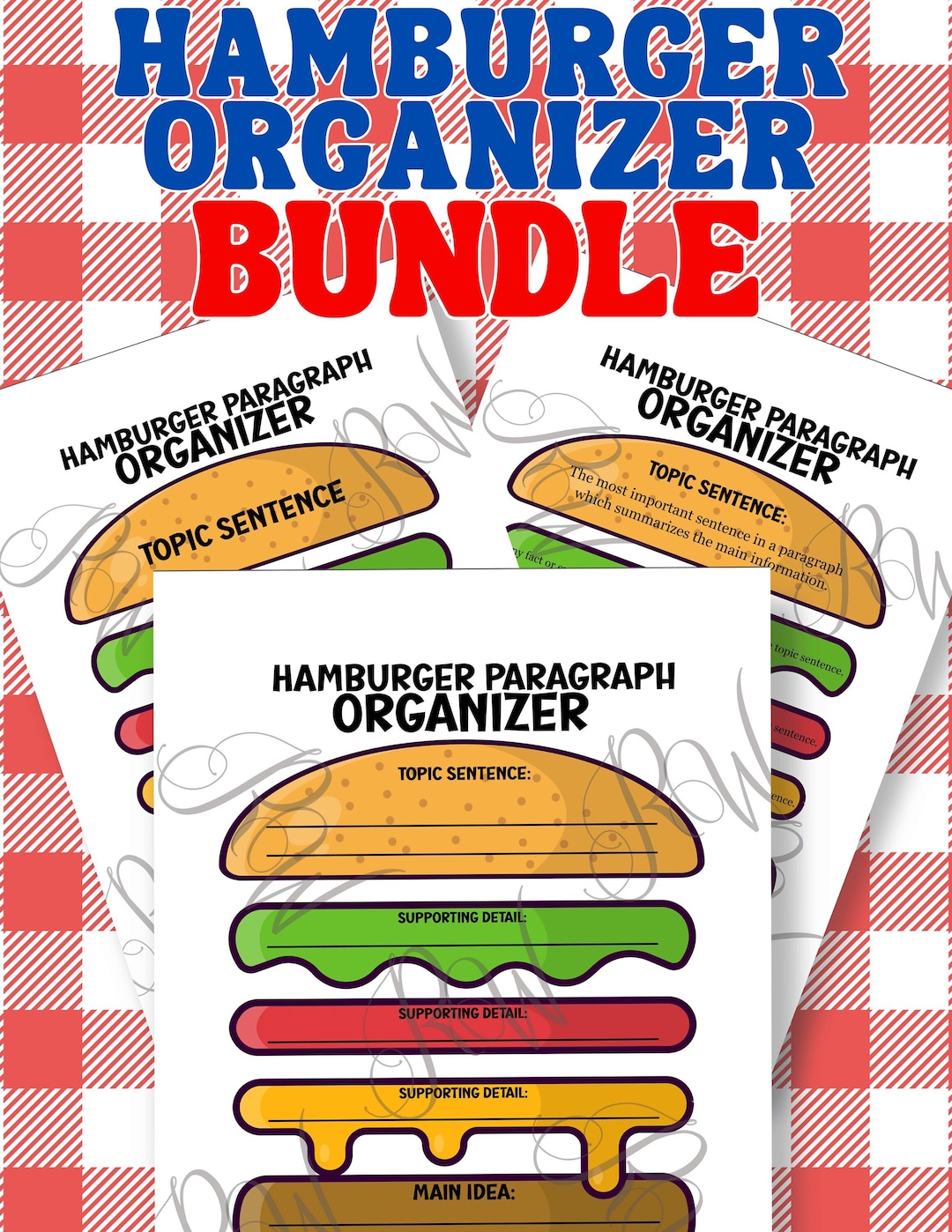 Fun Paragraph Organizer 3 Pc. Worksheet Set for Classroom Homeschool or ...