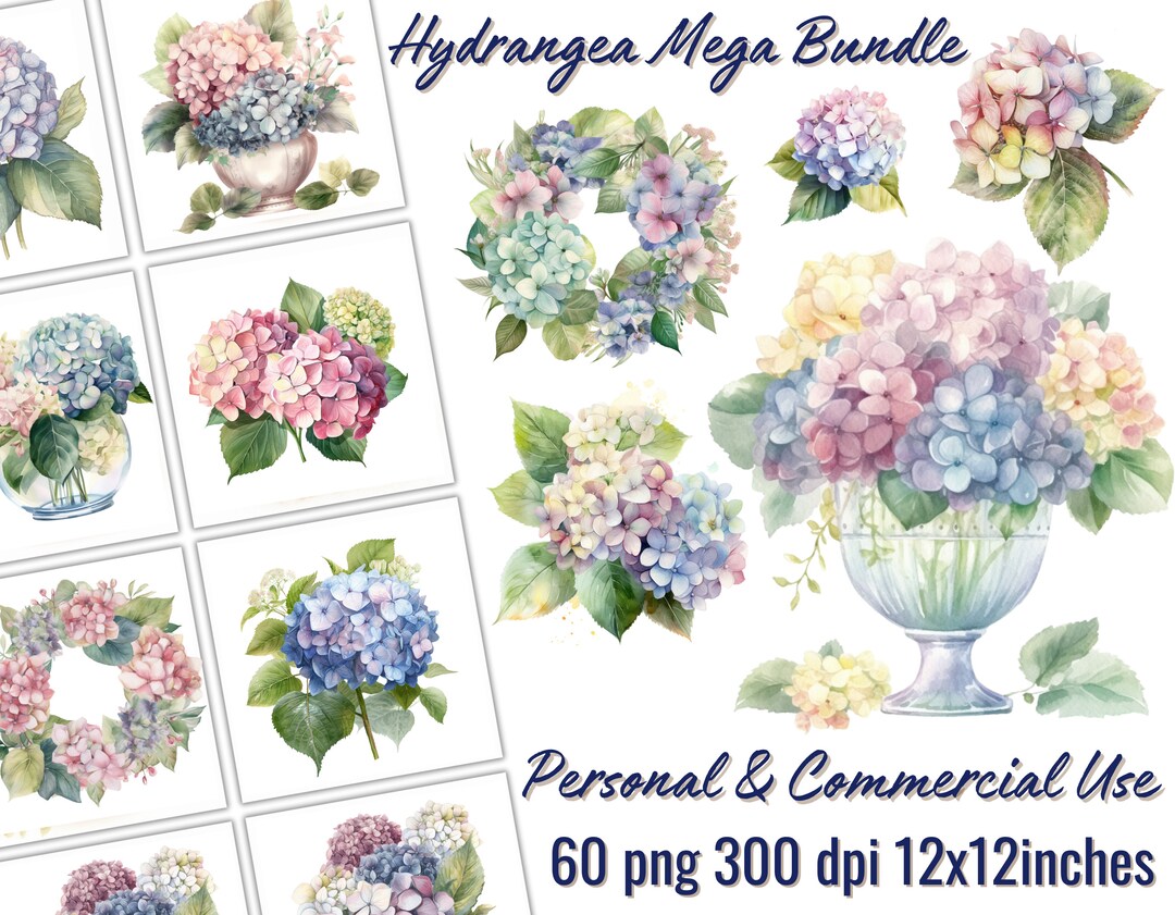 Hydrangea Mega Bundle Clipart, 60 PNG, Watercolor Floral Bouquet Design ...