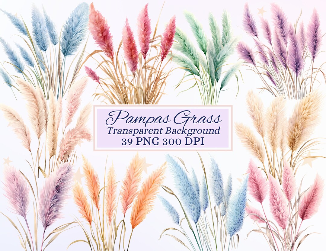 Pampas Grass Cliparts for Creative Projects, Boho Floral Elements ...
