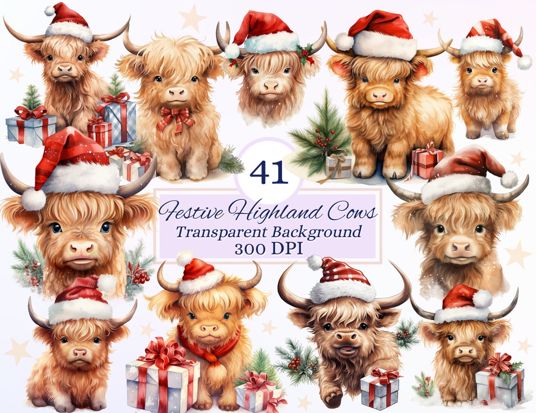 Festive Highland Cows Clipart Set for Creative Projects, Xmas Gift ...