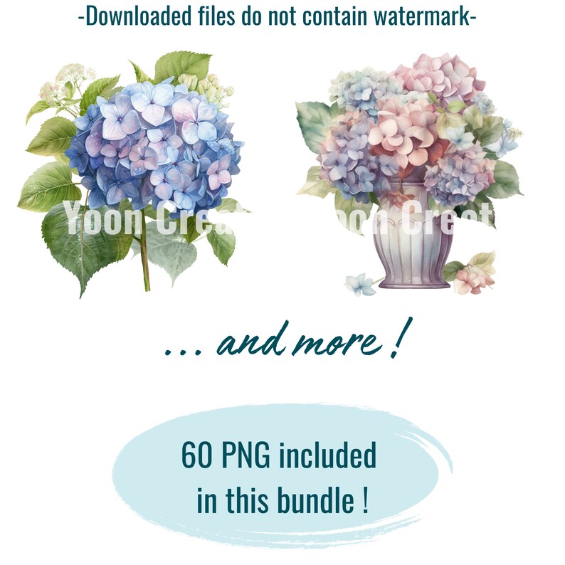 Hydrangea Mega Bundle Clipart 60 PNG Watercolor Floral - Etsy