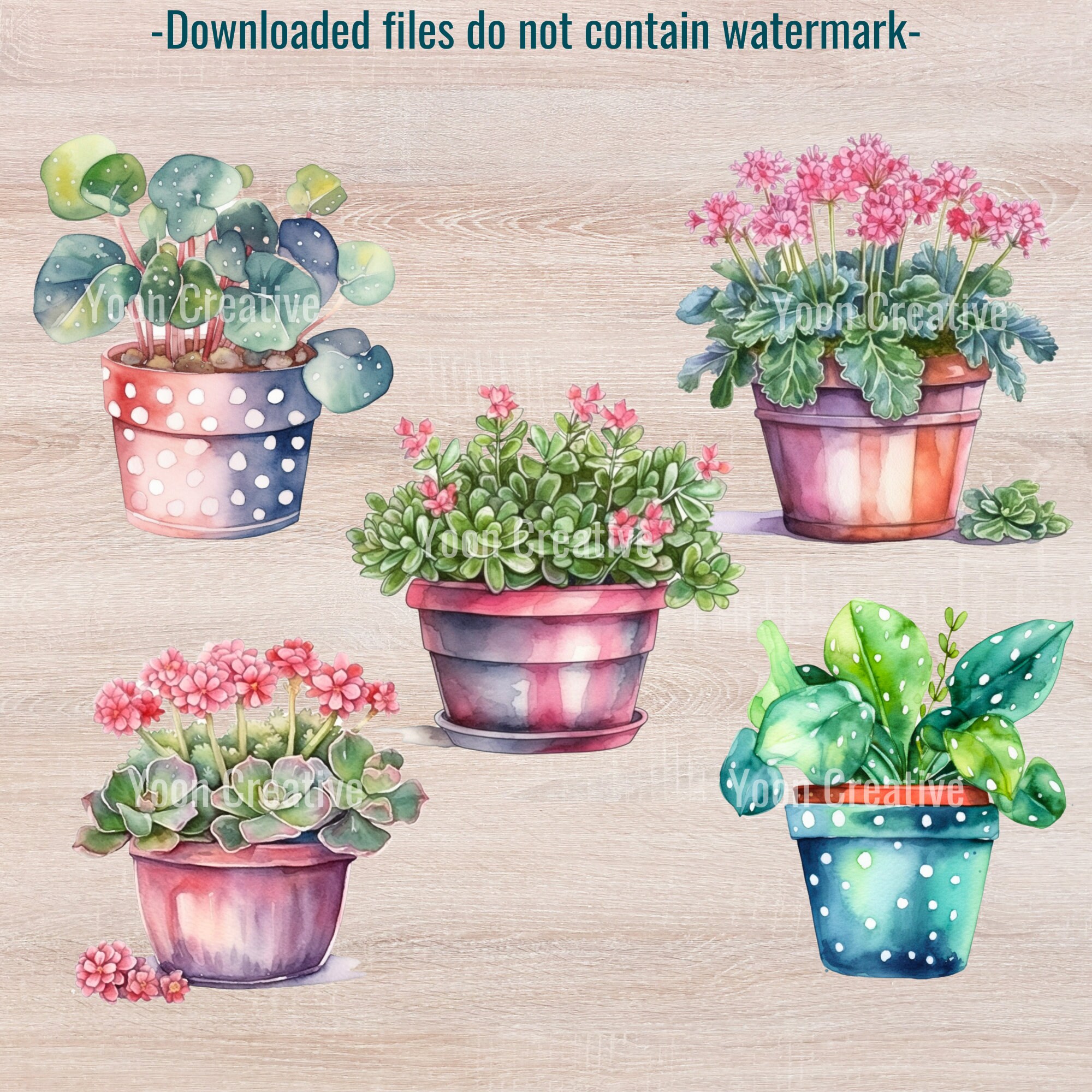 Watercolor Indoor Plant Clipart Set 25 PNG Transparent Background ...
