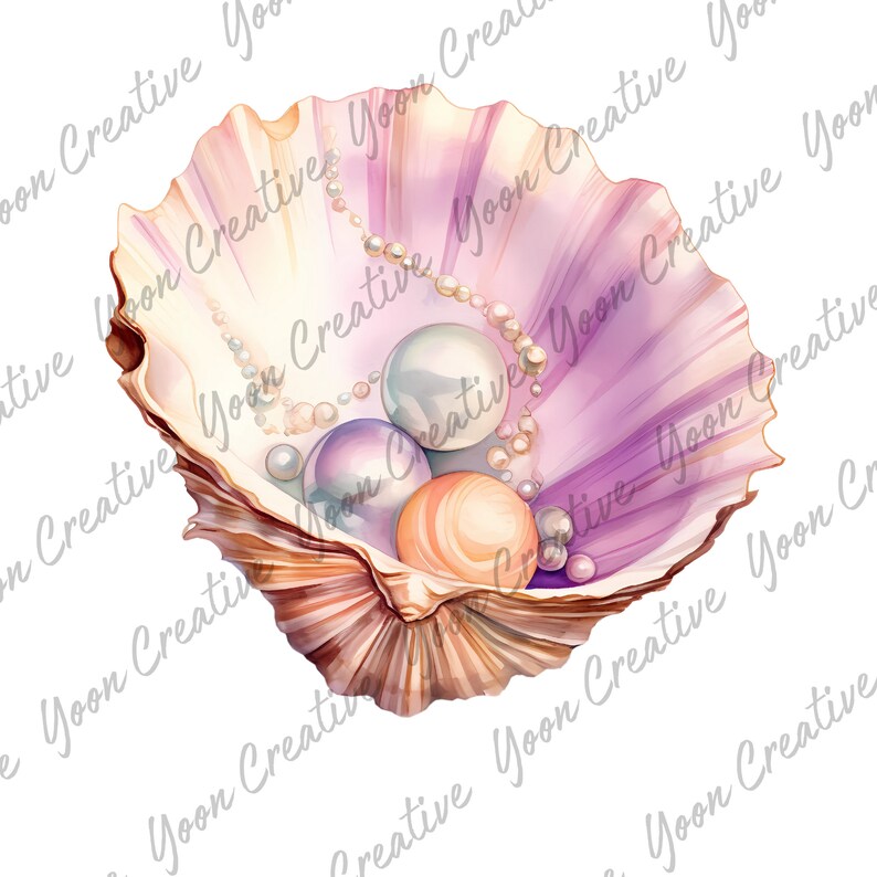 Pearl in a Shell Clipart Set for Creative Projects Whimsical - Etsy