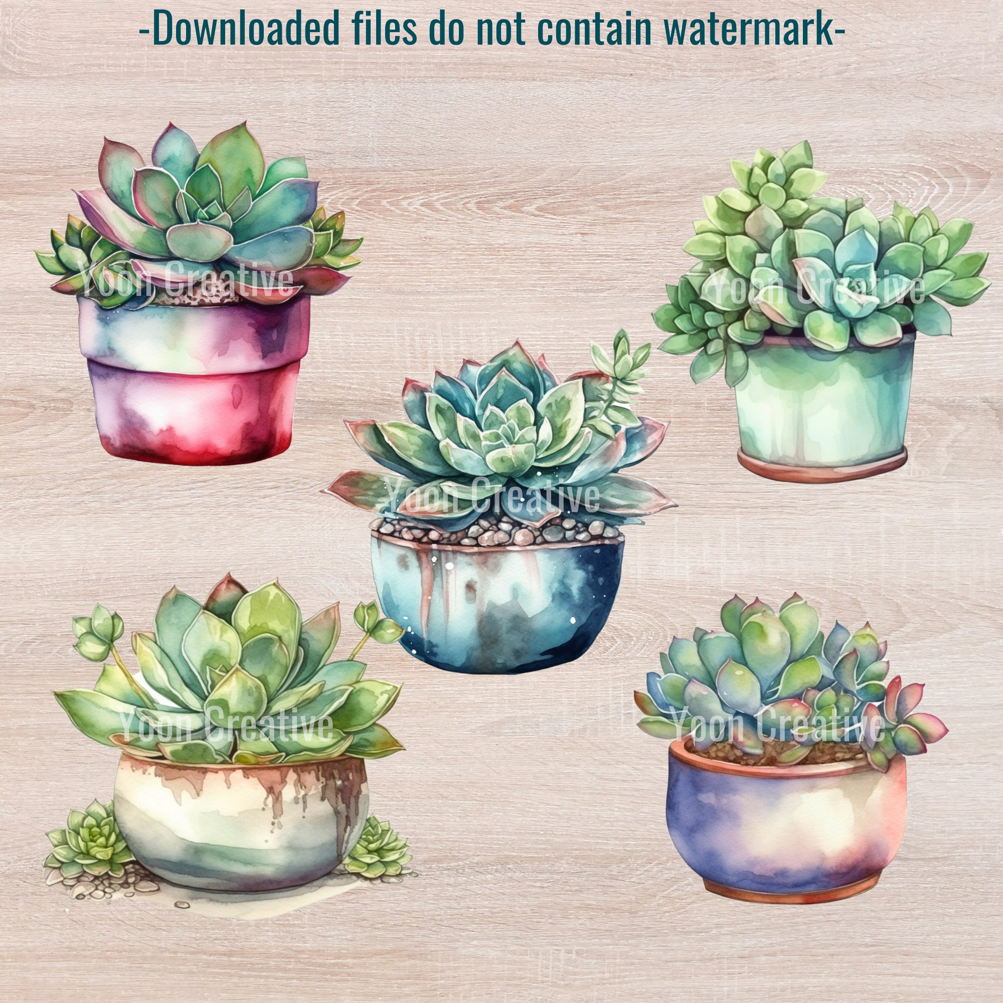 Watercolor Indoor Plant Clipart Set 25 PNG Transparent Background ...