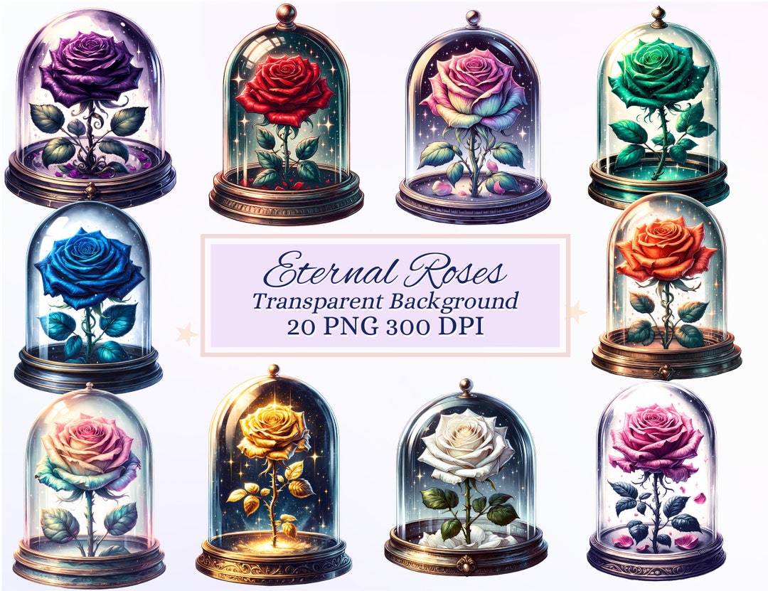 Eternal Roses Clipart Set for Creative Project, Valentine Day Graphic ...