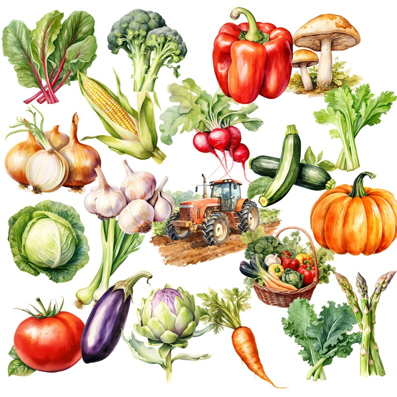 Farm Fresh Veggie Clipart Set for Creative Project - Etsy