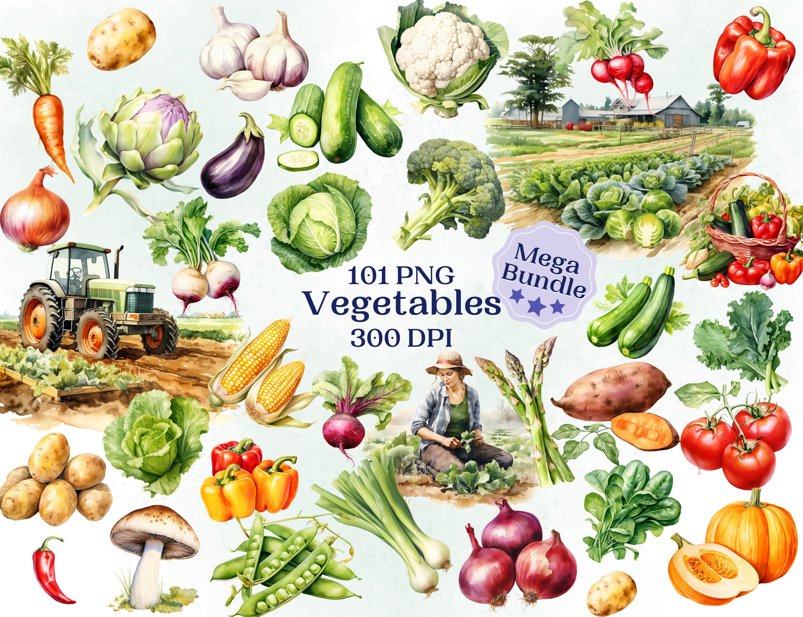 Farm Fresh Veggie Clipart Set for Creative Project, Transparent ...